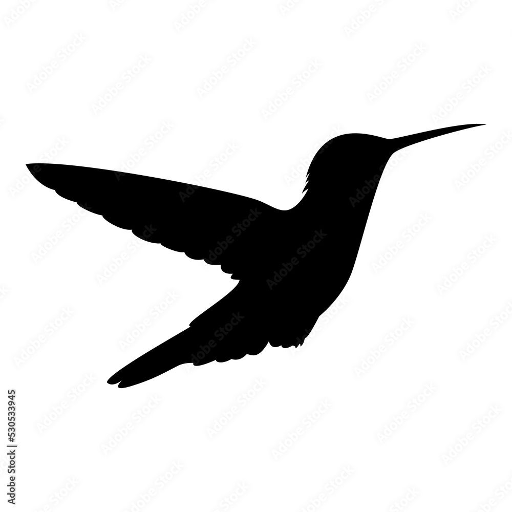 Silueta de colibrí volando aislada Stock Illustration | Adobe Stock