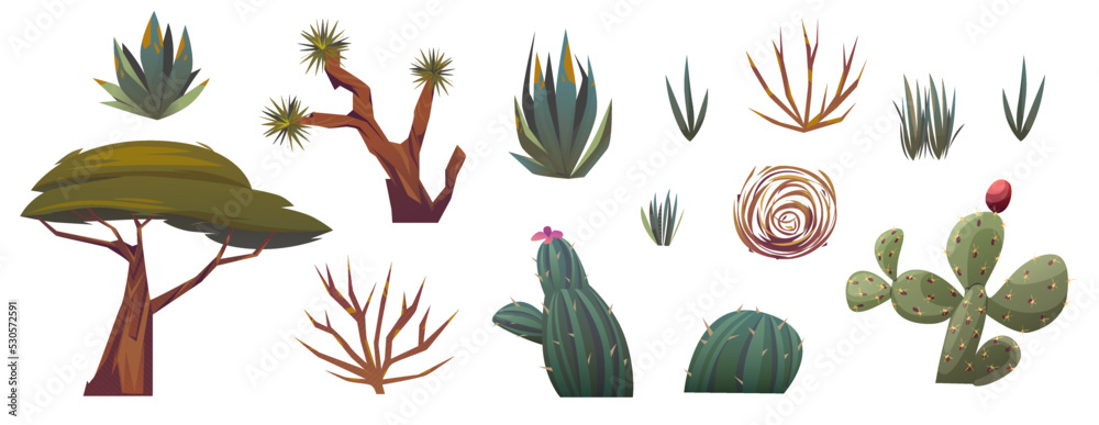 Desert plants, cactuses, grass, bushes, tree and tumbleweed isolated on white background. Green ...