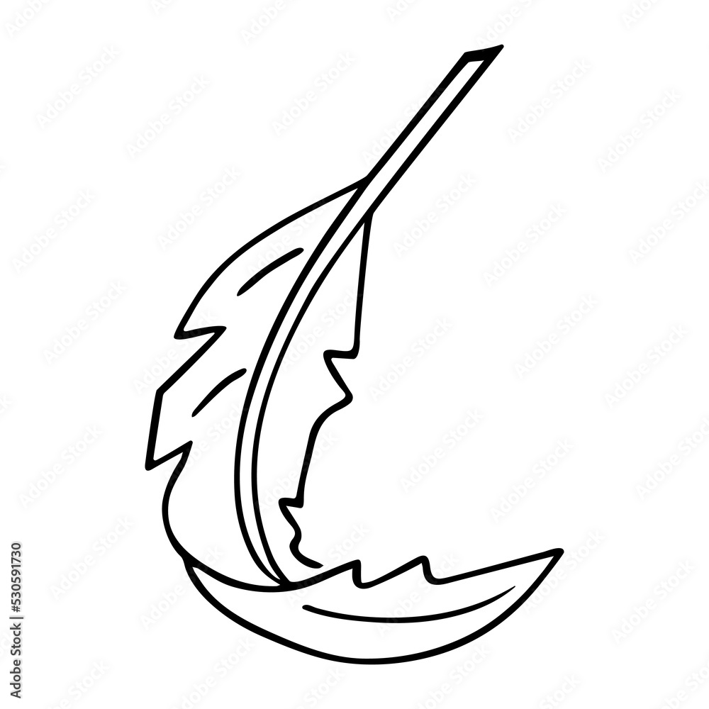 Bird feather quill, writing ink pen, hand drawn outline, doodle sketch ...