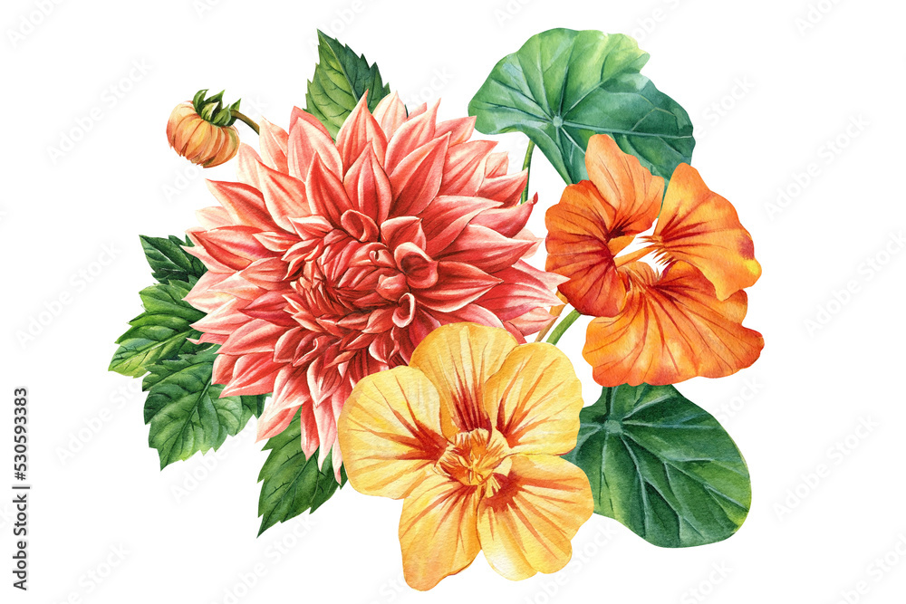 Multicolored flowers. Sunflower, dahlia, nasturtium and leaves. Hand ...