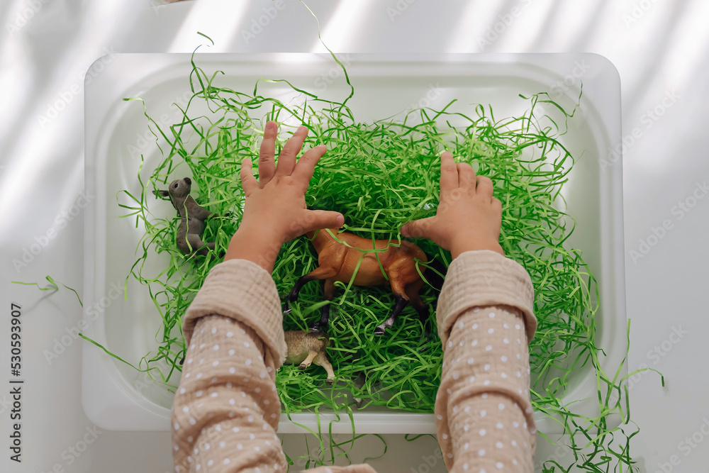 A little girl playing with farm animals in sensory bin with green ...