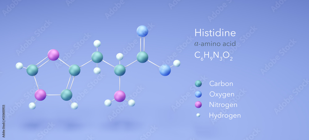 histidine, molecular structures, amino acid, 3d model, Structural ...