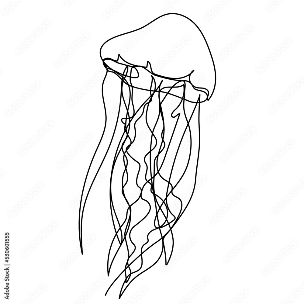 continuous line drawing jellyfish sketch, vector Stock Vector | Adobe Stock