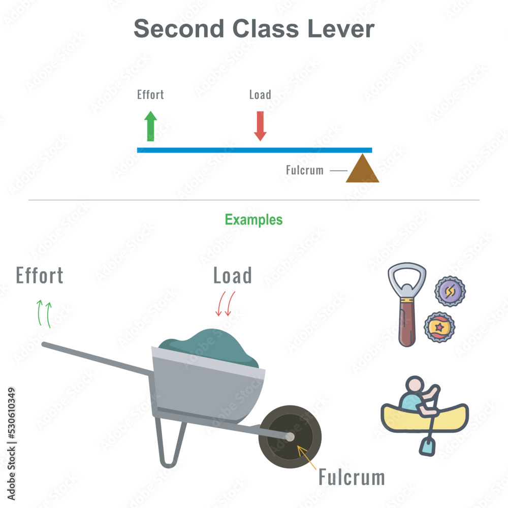 Second class lever with example vector illustration Stock Vector ...