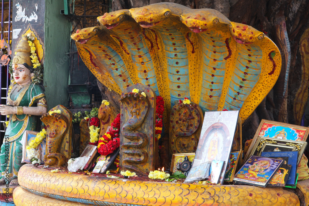 Worship of the many-headed snakes Nagam in India. Traditional Hindu ...