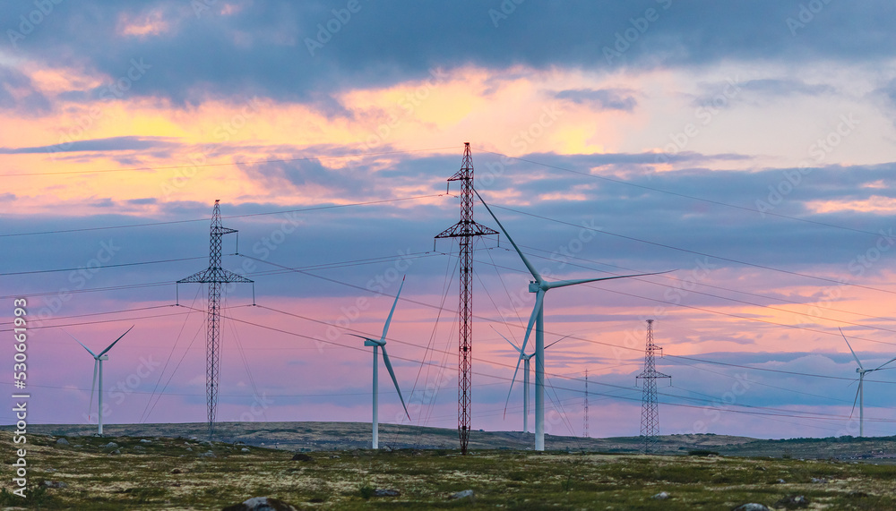 White wind turbines and power poles installed in scandinavian tundra ...