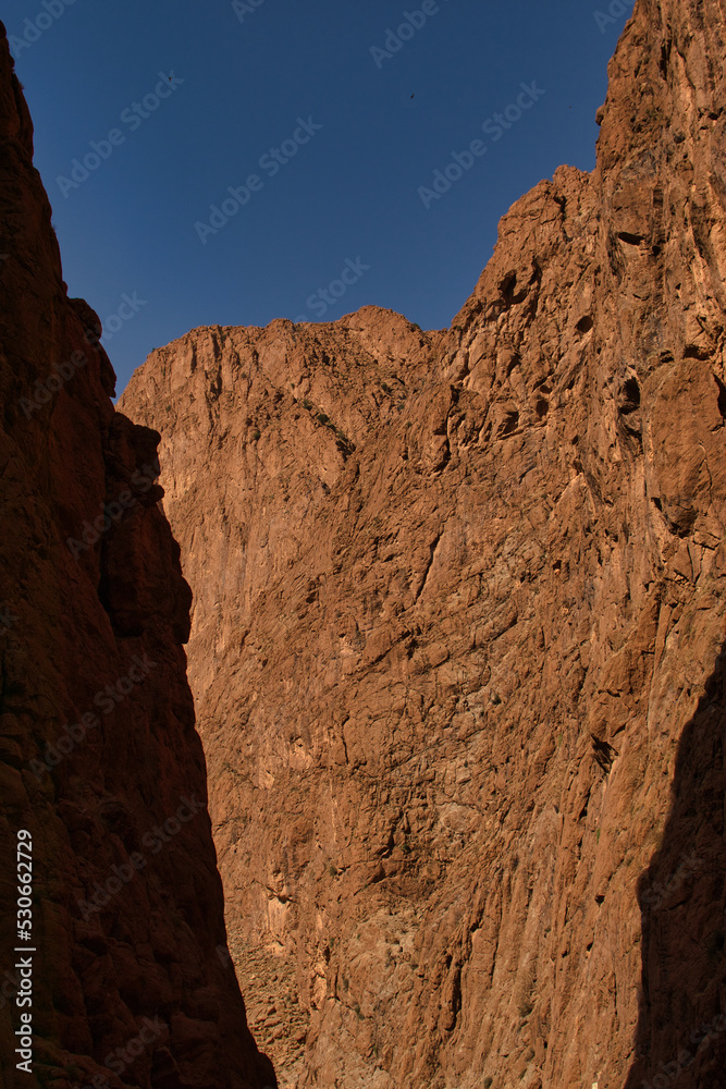 Todra gorge in Morocco, red rocks in Morocco, exploring the gorge ...