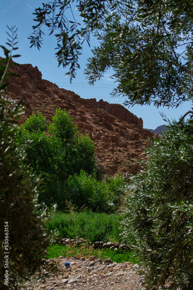Todra gorge in Morocco, red rocks in Morocco, exploring the gorge ...