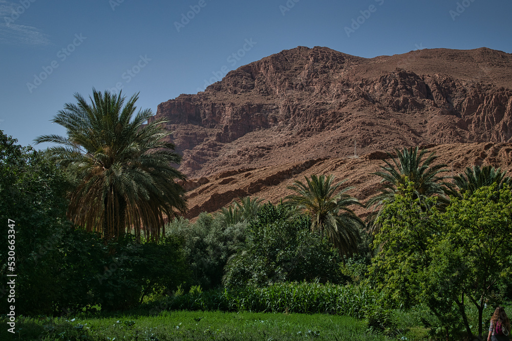 Todra gorge in Morocco, red rocks in Morocco, exploring the gorge ...