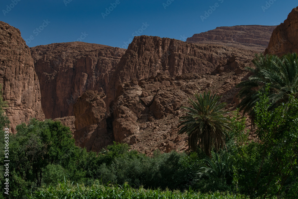 Todra gorge in Morocco, red rocks in Morocco, exploring the gorge ...