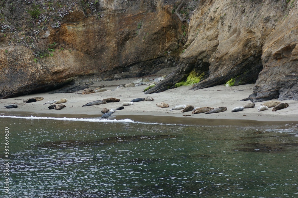 Water Water resources Ecoregion Fluvial landforms of streams Coastal ...