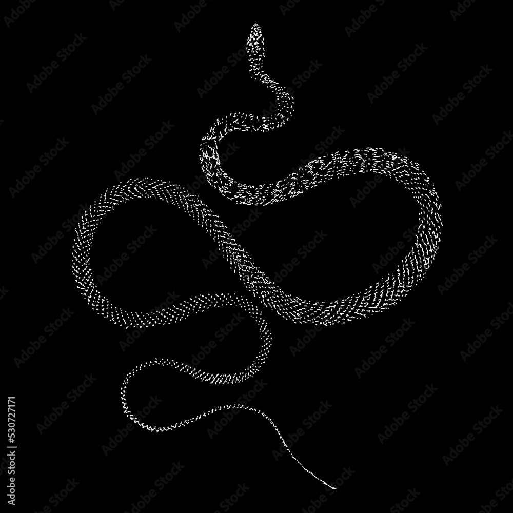 Red Racer Snake hand drawing vector illustration isolated on black ...