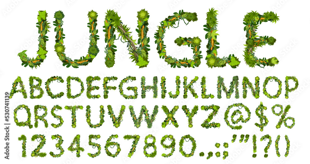 Cartoon jungle lianas font, typeface, type alphabet. Vector abc ...