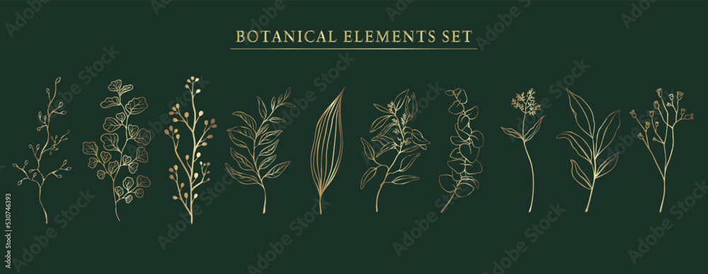 Botanical elements set . Gold line hand drawn botanical contour vector ...
