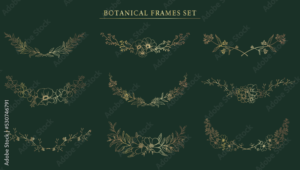 Botanical Frame set . Gold line hand drawn floral borders and divider ...