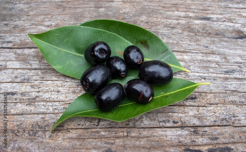 Top View of Malabar Plum or Syzygium Cumini with Leaves Isolated on ...
