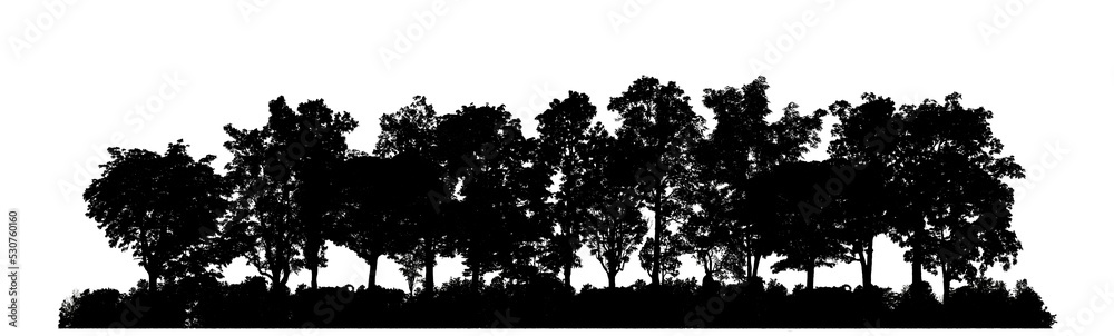 Silhouette tree brush design on transparent .background, illustrations ...