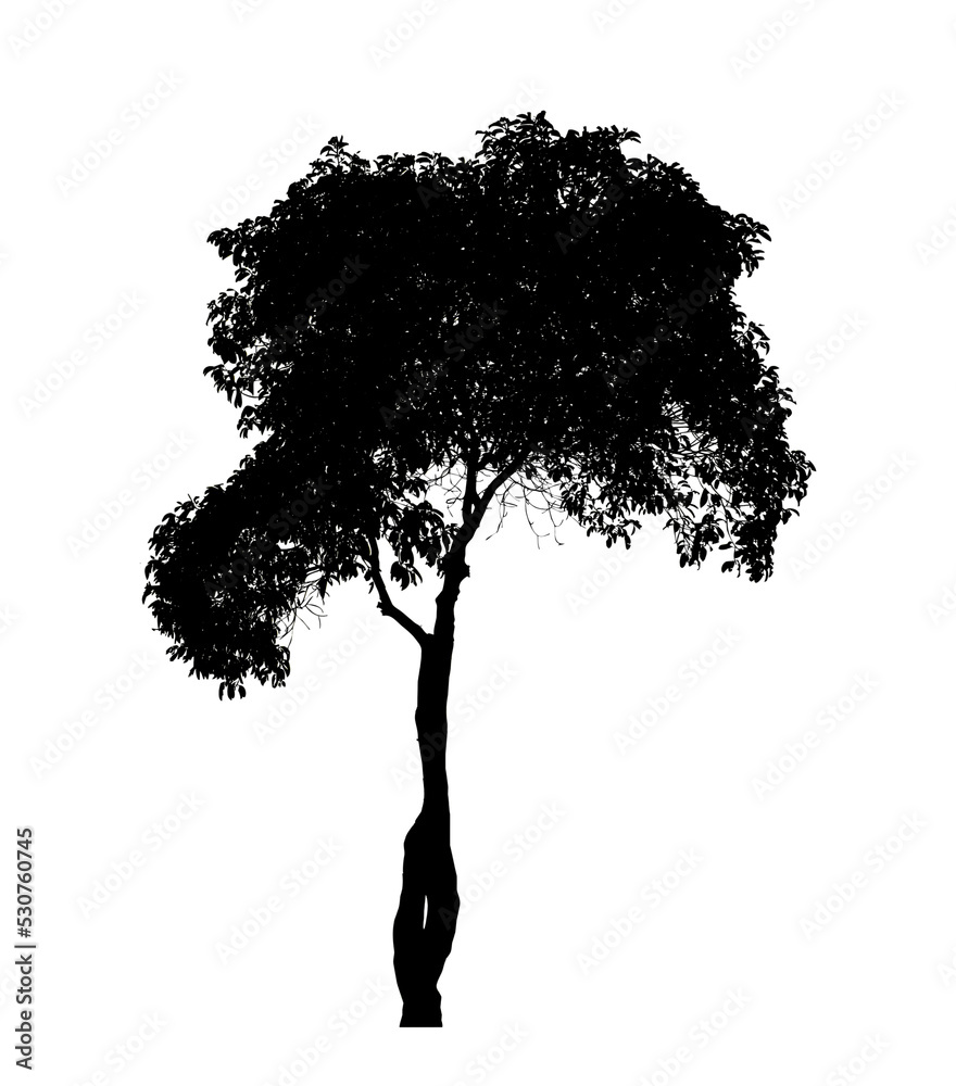 Silhouette tree brush design on transparent background, illustrations ...