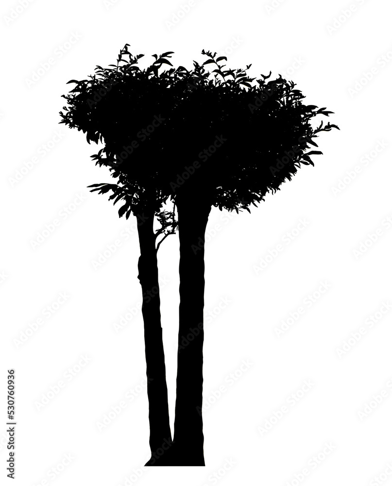 Silhouette tree brush design on transparent background, illustrations ...