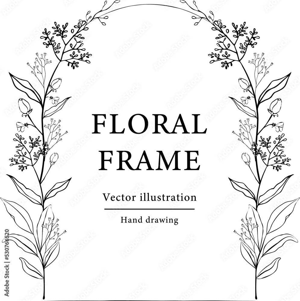 Hand drawn floral frame. Botanical wreath borders and divider with ...