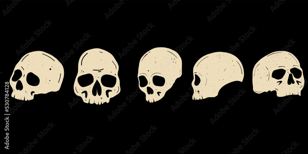 Human skull set. Anatomically correct human skulls set isolated ...