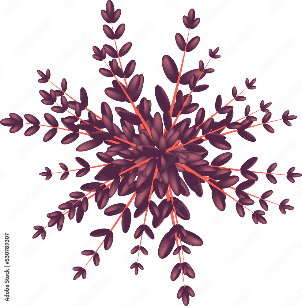 shrub. Top view of bushes for architectural and landscape design. Set ...
