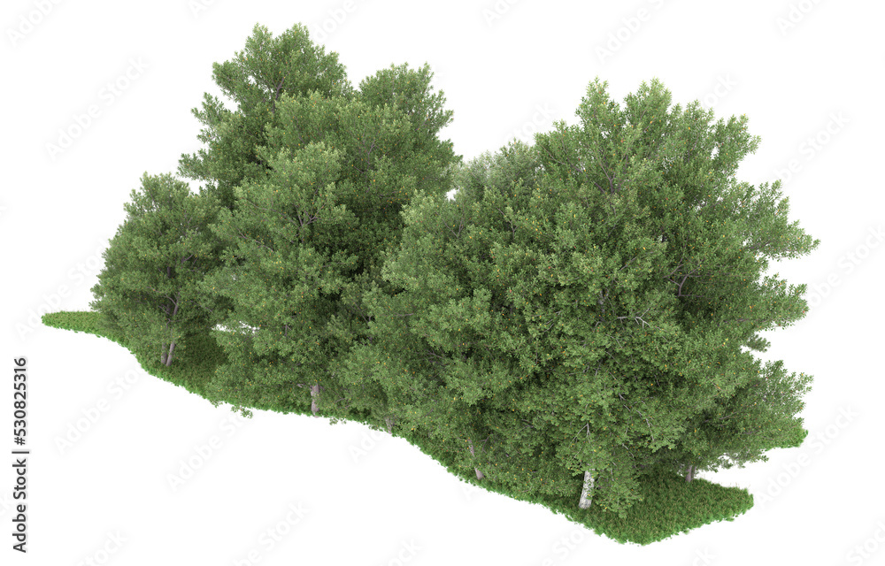 Forest on transparent background. 3d rendering - illustration Stock ...