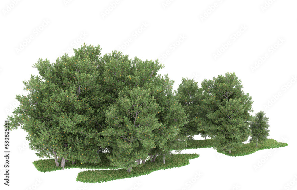 Forest on transparent background. 3d rendering - illustration Stock ...