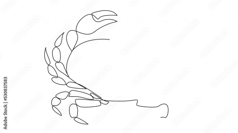 Self drawing animation of continuous line crab. Drawing by hand, black ...
