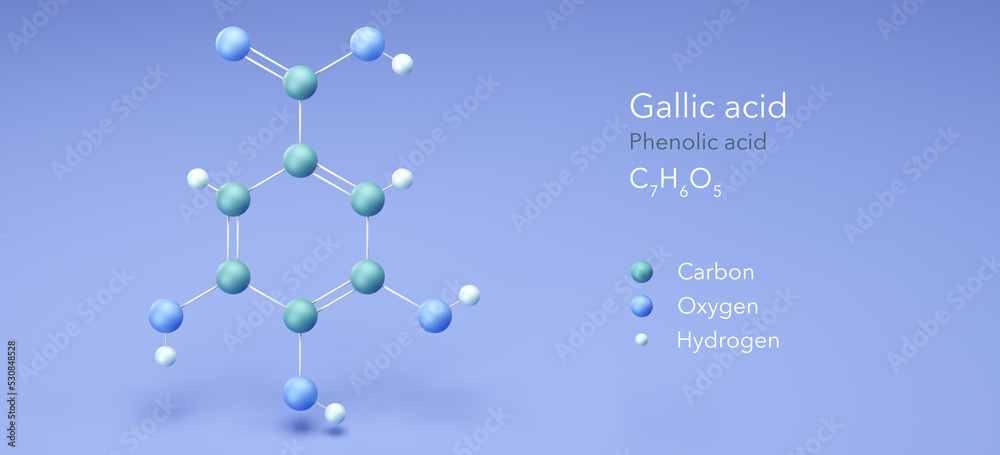 Gallic acid, molecular structures, phenolic acid, 3d model, Structural ...