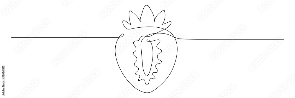 Strawberry continuous one line drawing. Hand drawn linear strawberries ...
