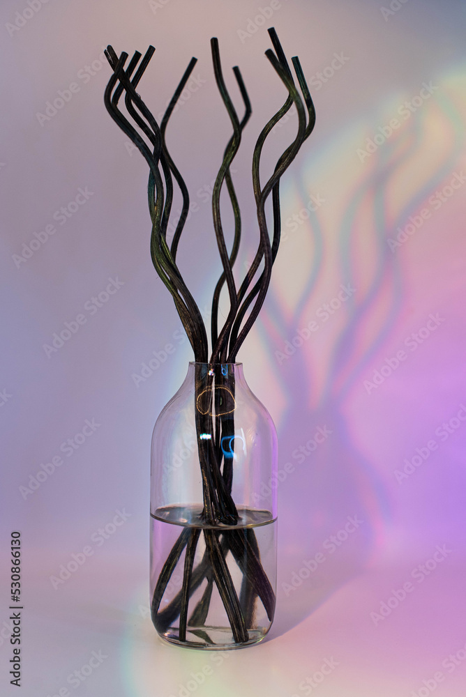 Aromatic reed air freshener on pink gradient background hard shadow ...