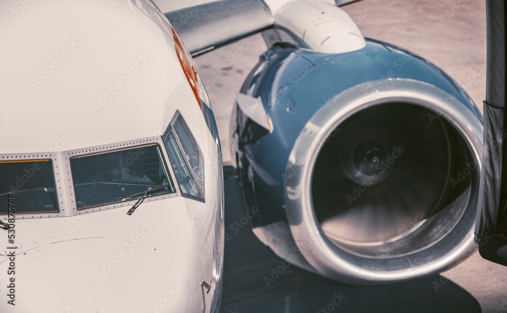 Pilot in the cockpit of a twin-engine passenger jet starting the ...