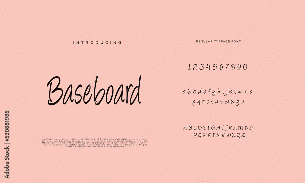 Handwritten Script font. Hand drawn brush style modern calligraphy ...