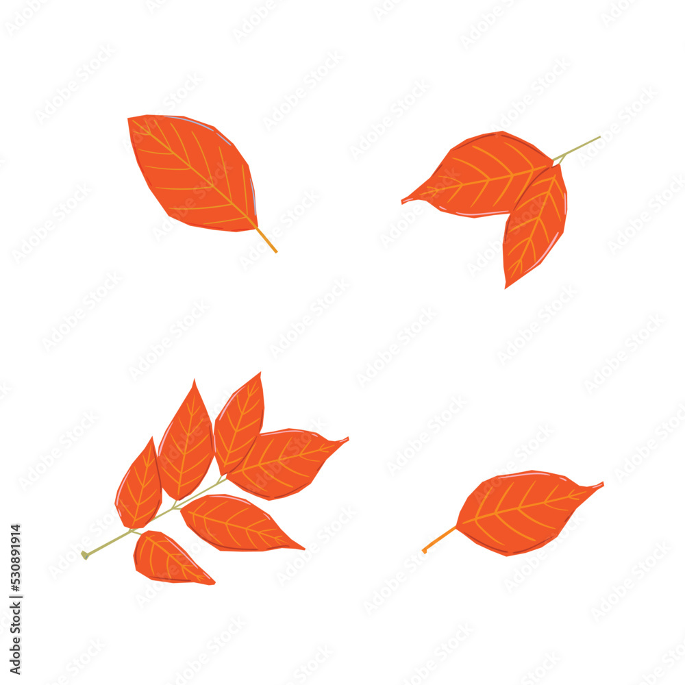 Autumn leaves set, isolated on white background. Simple cartoon flat ...