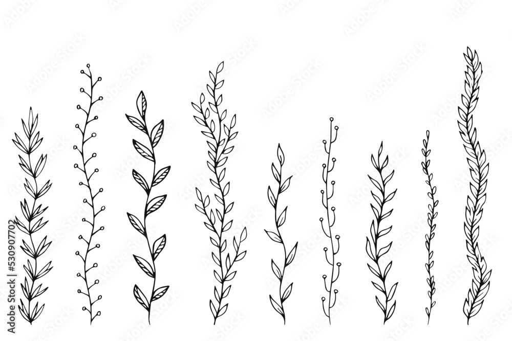 Leafs plants hand draw vector. Drawing beautiful creeper leaf ...