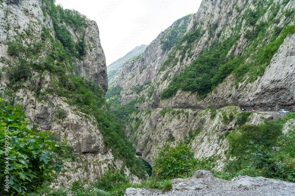 Narrow mountain gorge Plateau or canyon in Montenegro between the ...