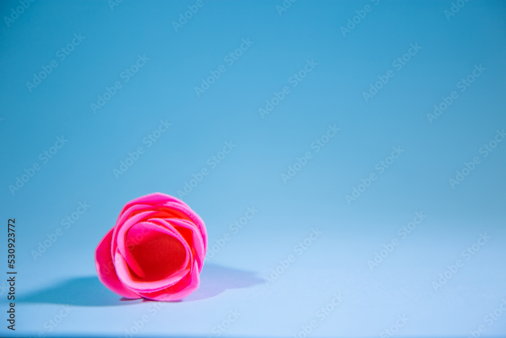 Rosa sobre fondo celeste en diferentes lados, fondo celeste para diseño ...