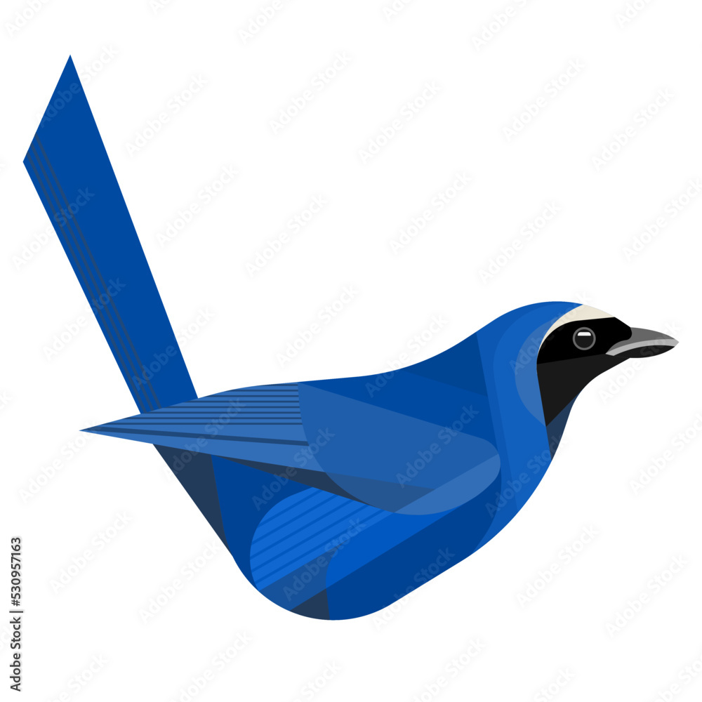 illustration of a White-collared jay Bird ,vector , png , svg , jpeg ...