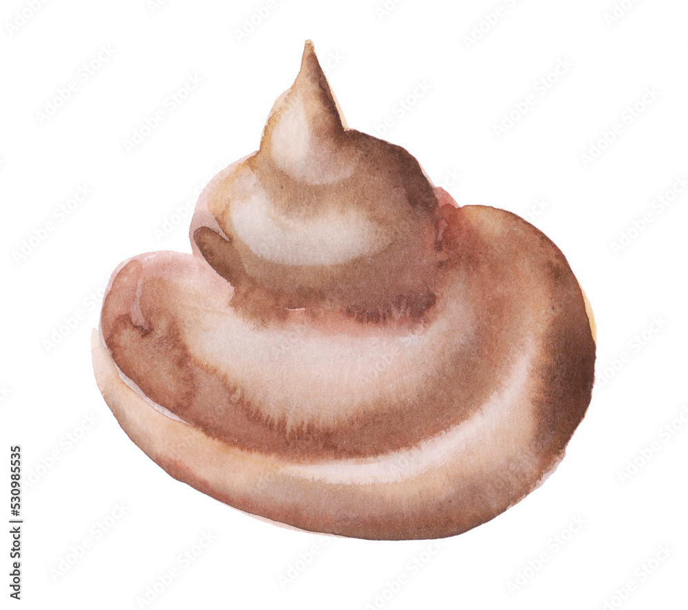 Hand drawn watercolor painting of Smelly Poop isolated on white ...