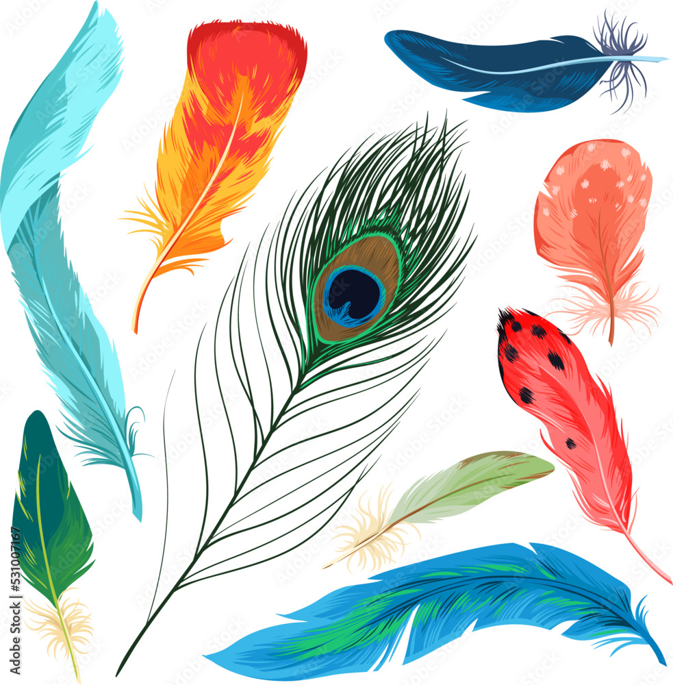 Feathers set vector illustration. Cartoon isolated colorful nature ...
