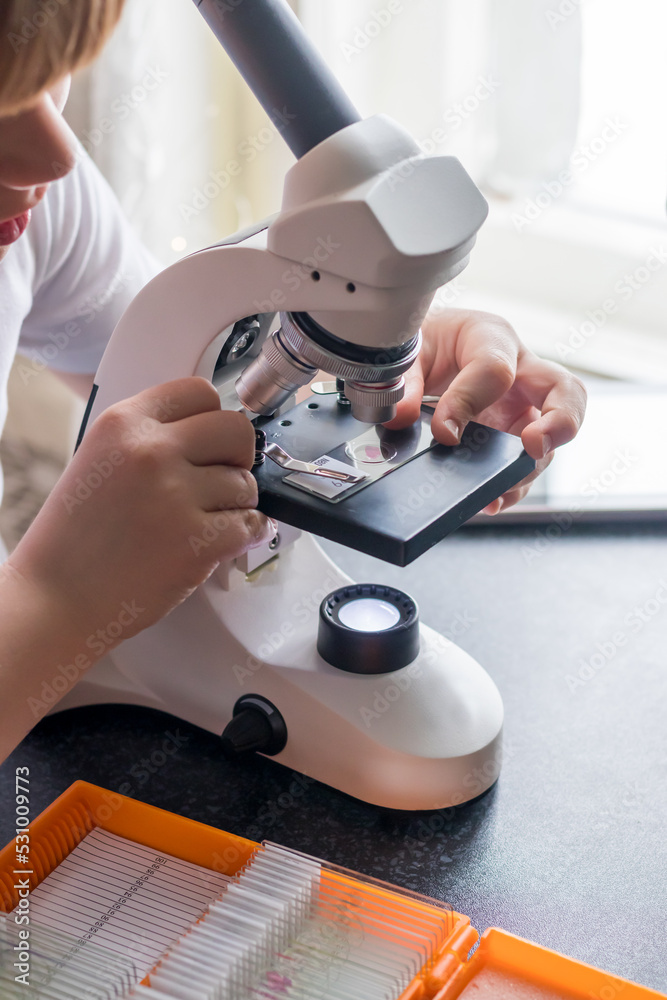 Close-up of schoolchild hands installing glass with laboratory ...