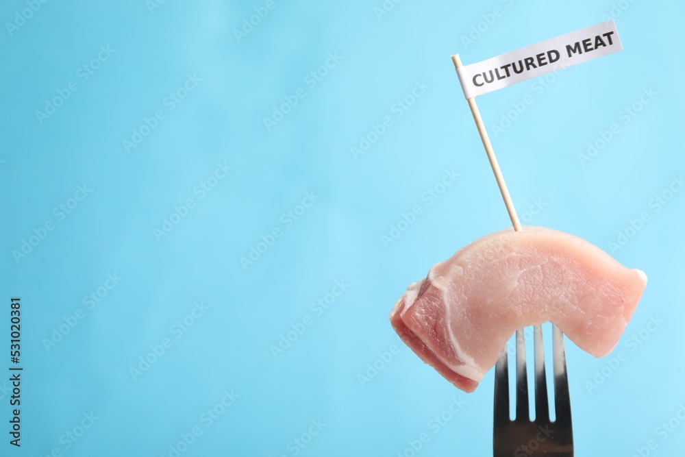 Sample of lab grown pork labeled Cultured Meat on fork against light ...