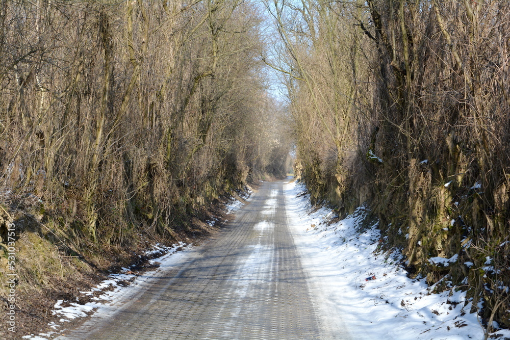 Road in loess ravine in Sandomierz. It was made by headward erosion in ...