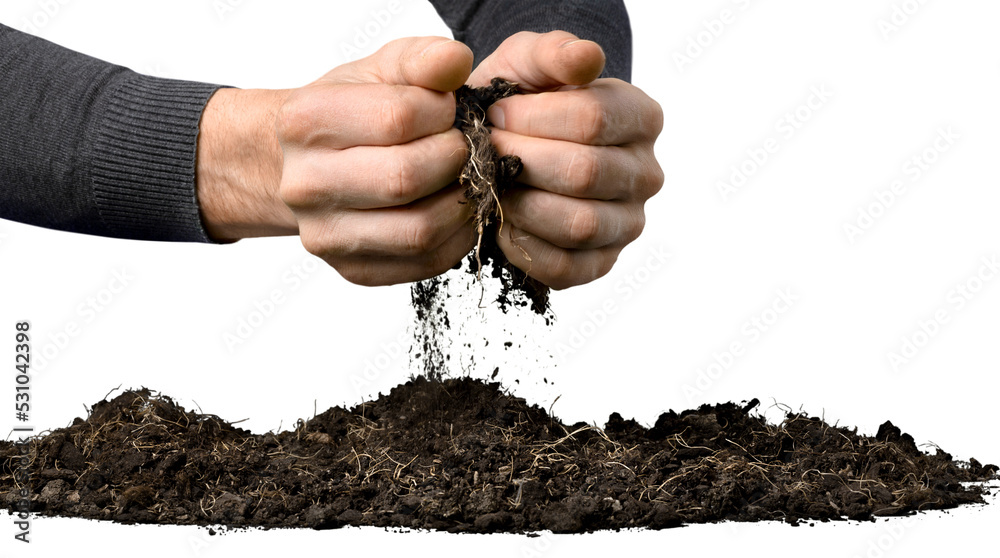 Soil in hands for check the quality, soil quality before seed plant ...
