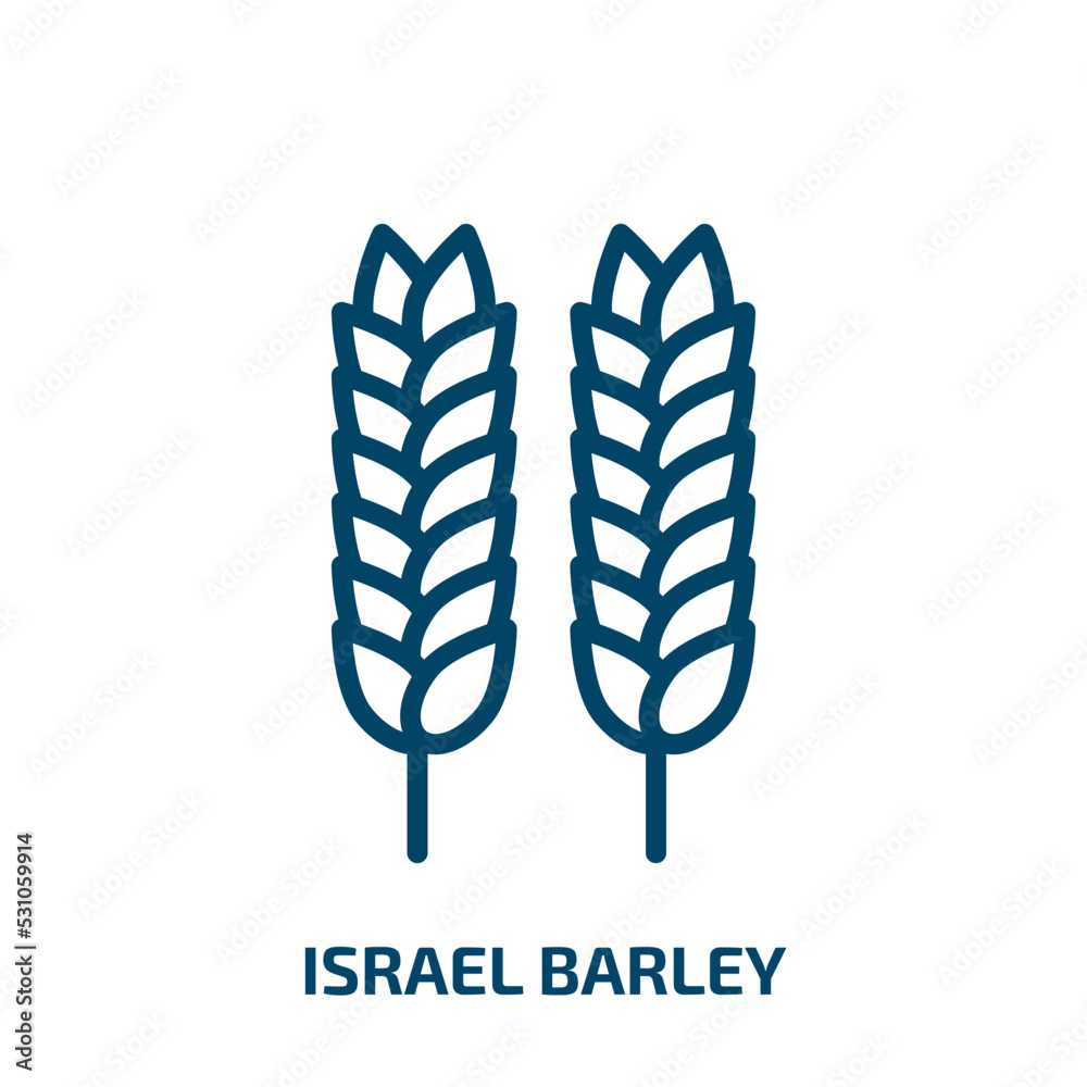 israel barley icon from religion collection. Thin linear israel barley ...