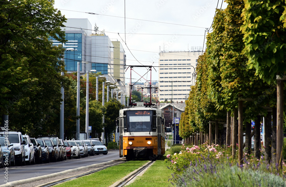 Title green grass in between tramway steel tracks. diminishing ...