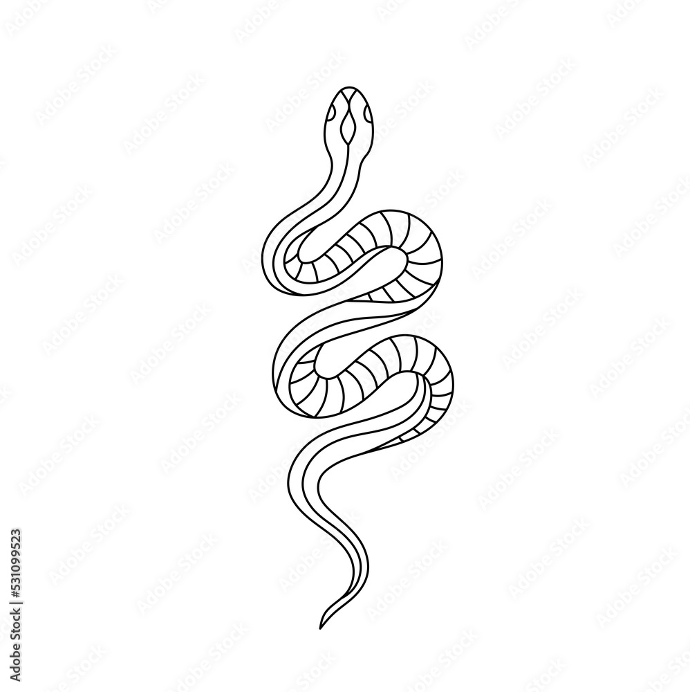 Vector isolated ornate crawling snake colorless black and white contour ...