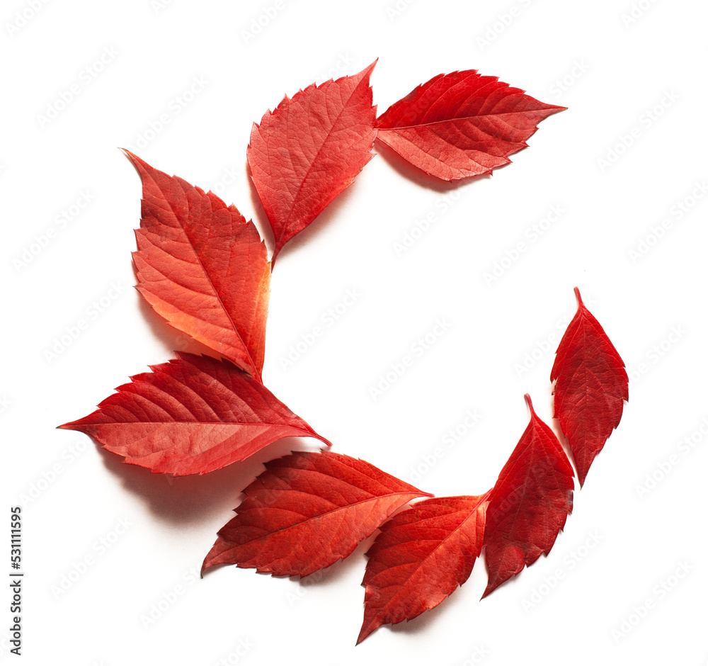 Isolated png red leaves. Transparent round border frame of various ...