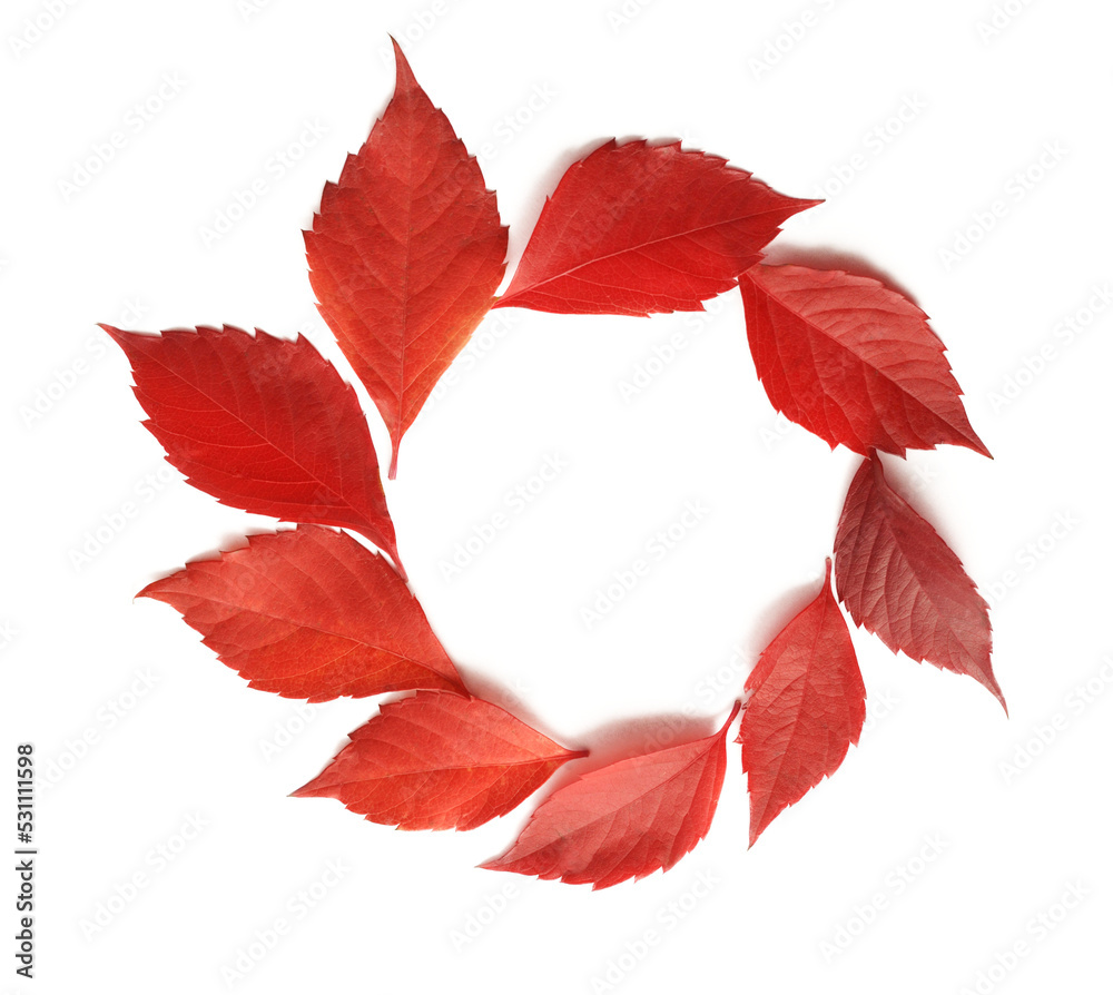 Isolated png red leaves. Transparent round border frame of various ...